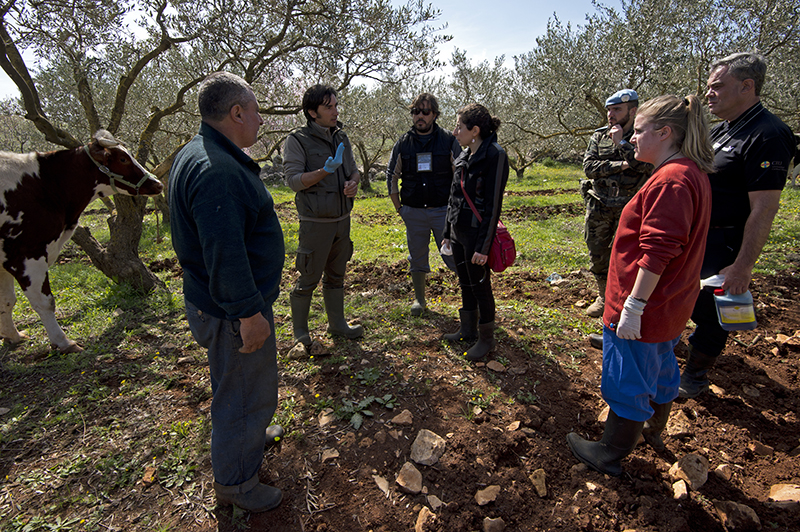Spanish vets treat 20,000 cattle in 10 days | UNIFIL