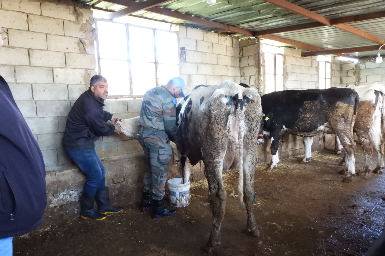 UNIFIL supports farmers and shepherds in the South | UNIFIL