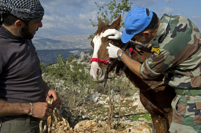 A day with the Indian Vet | UNIFIL